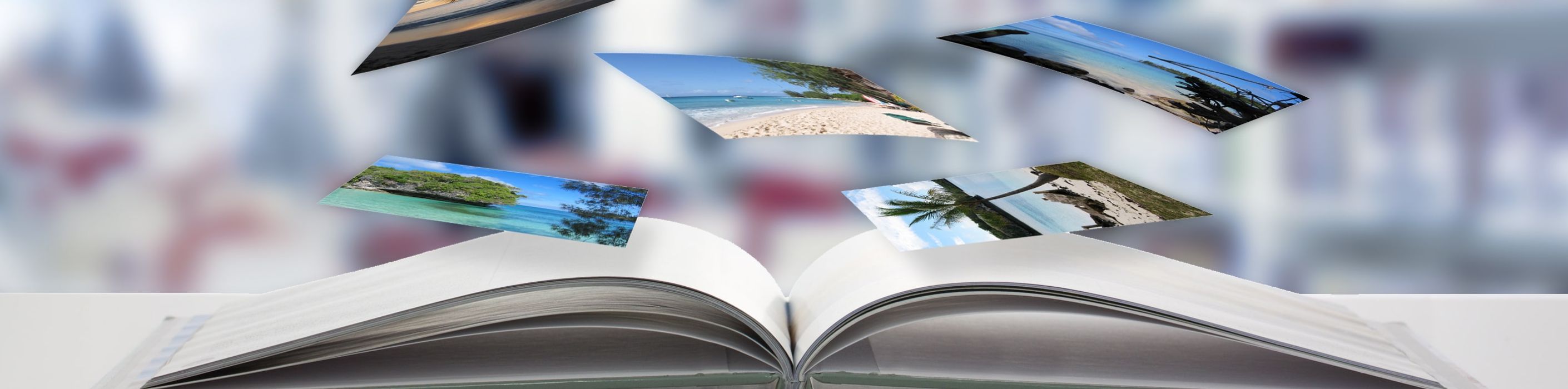 Products - Mitsubishi Electric Printing